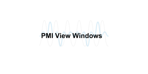 PMI View Windows – PMI